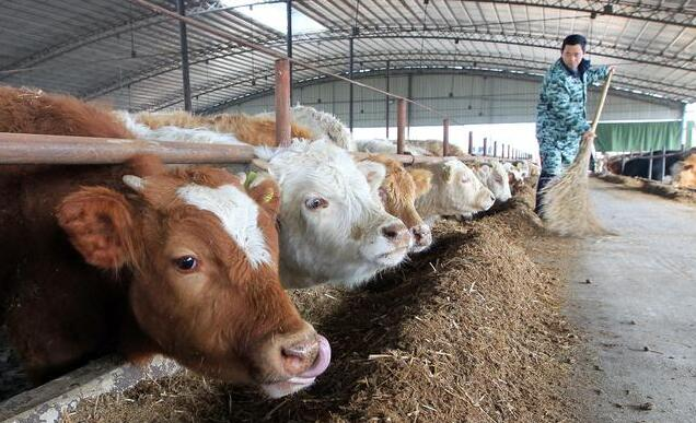 What is animal feed formulation? - Shandong Loyal Industrial Co.,Ltd.